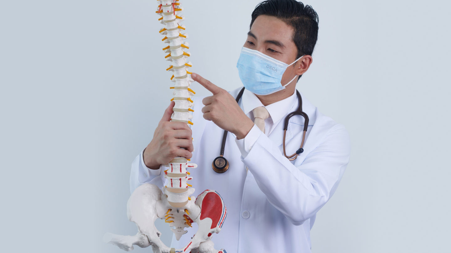 Malaysia's #1 Premium Chiro-Recommended Mattresses | Lunox